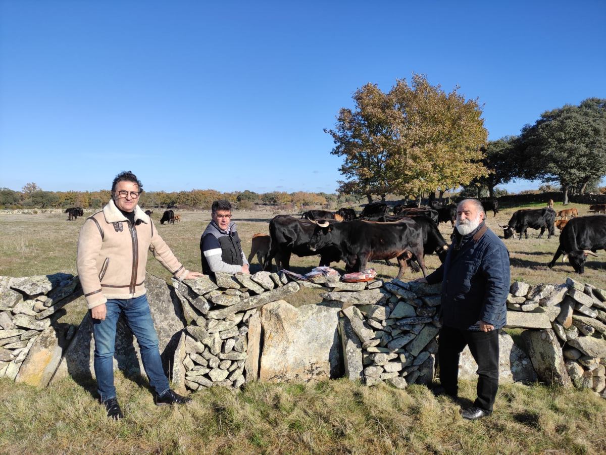 Sayago en la Tele: «Luces de pueblo en la vieja Sayago», el Arcón de ...