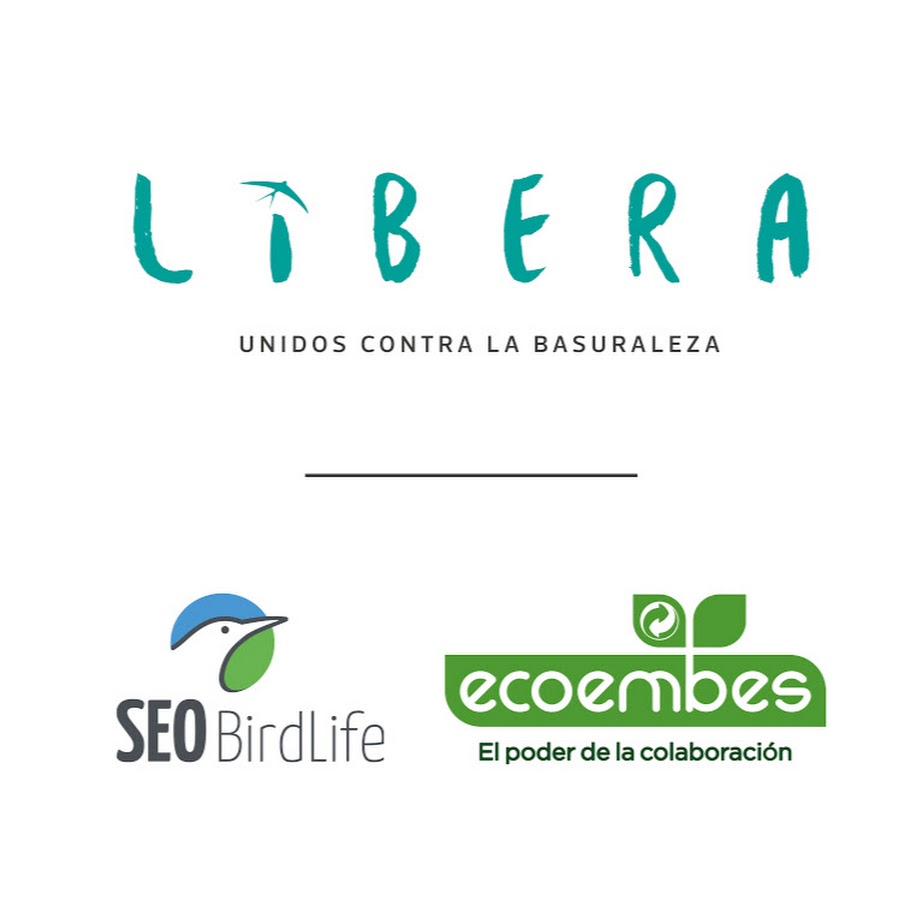 Escolares del CEIP Matilde Ledesma de Almeida recogen 33 kilos de ...