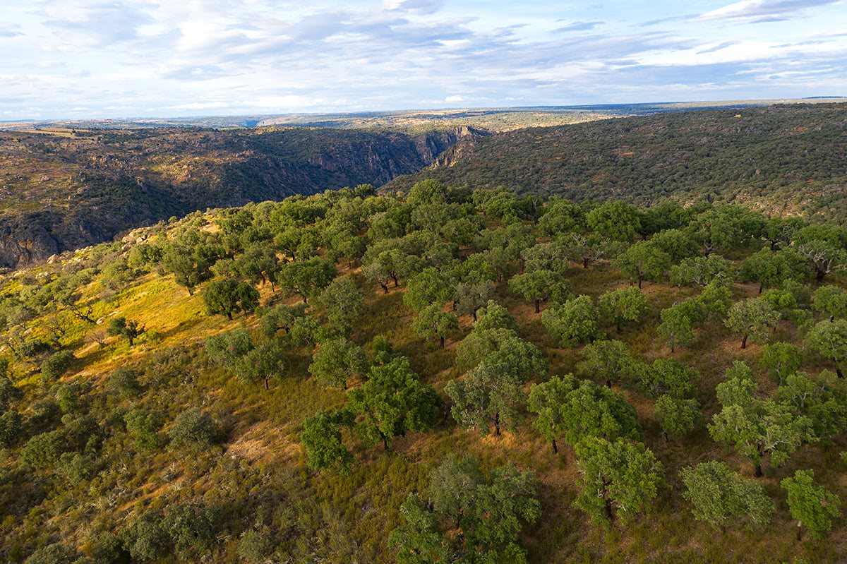 Sayago a través de los ojos de uno de los mejores fotógrafos de ...